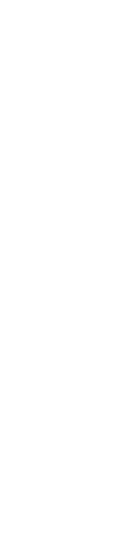 DSM Property Services