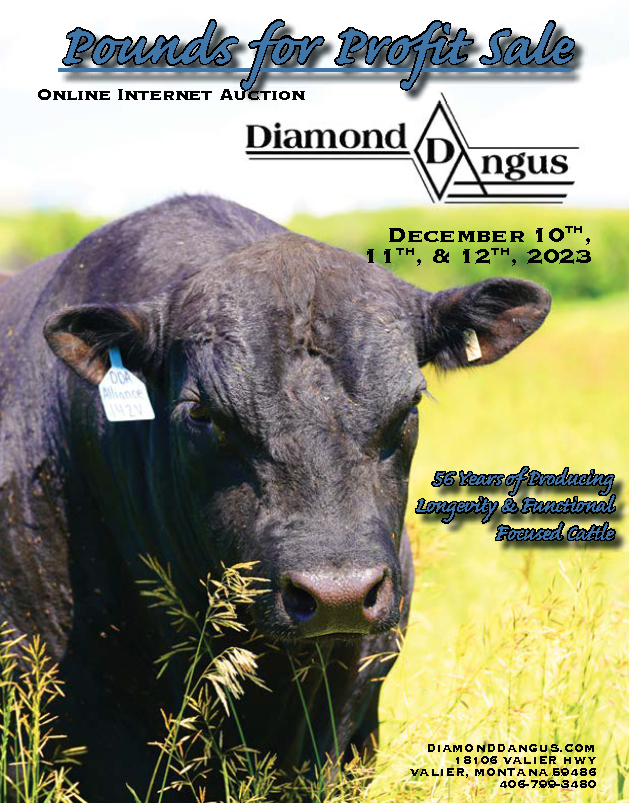 Bull and Female Sale — Diamond D Angus