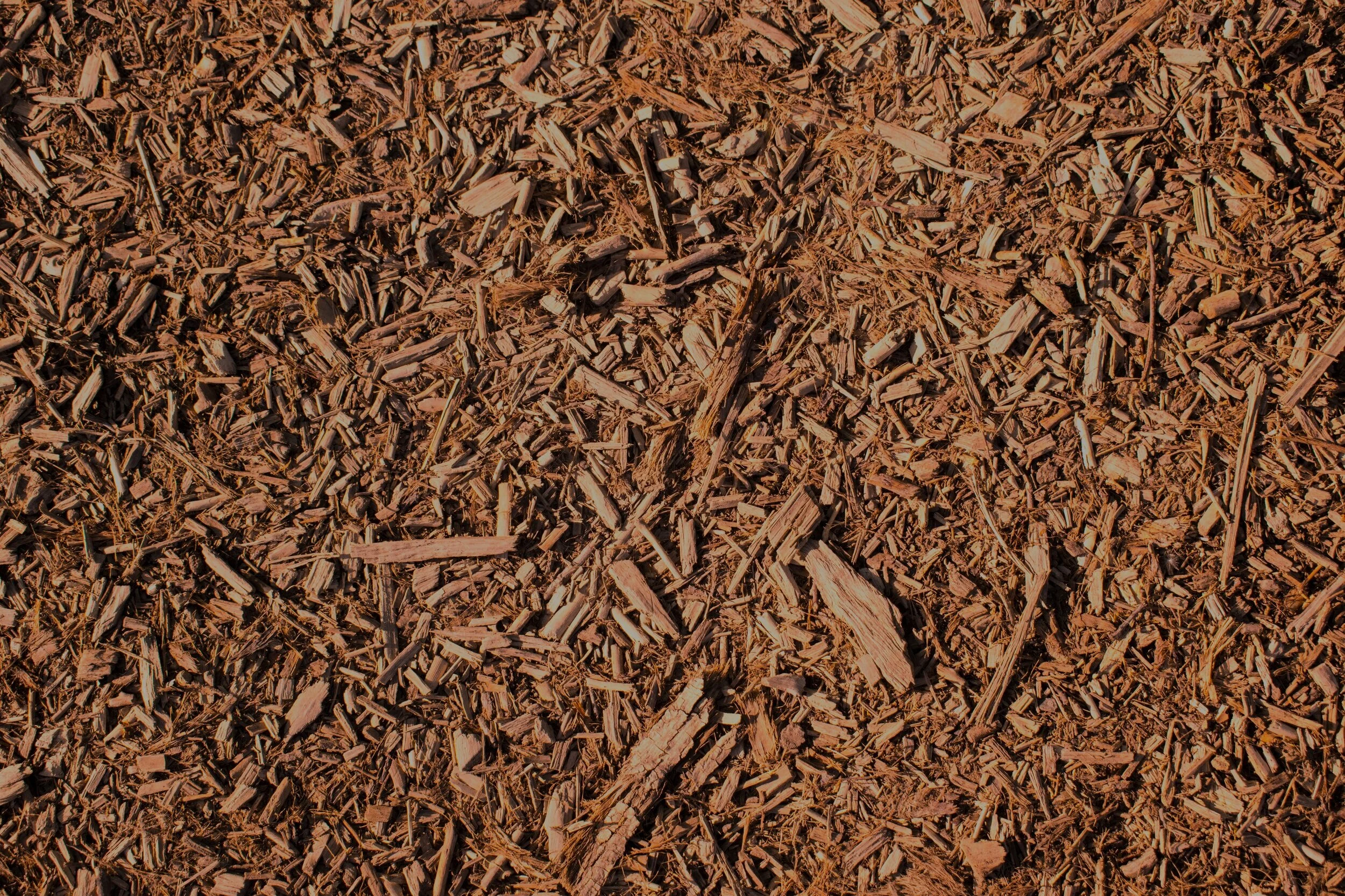 Flowers, Shrubs, Trees and Mulch in Waldorf MD | Wintergreen Landscape ...