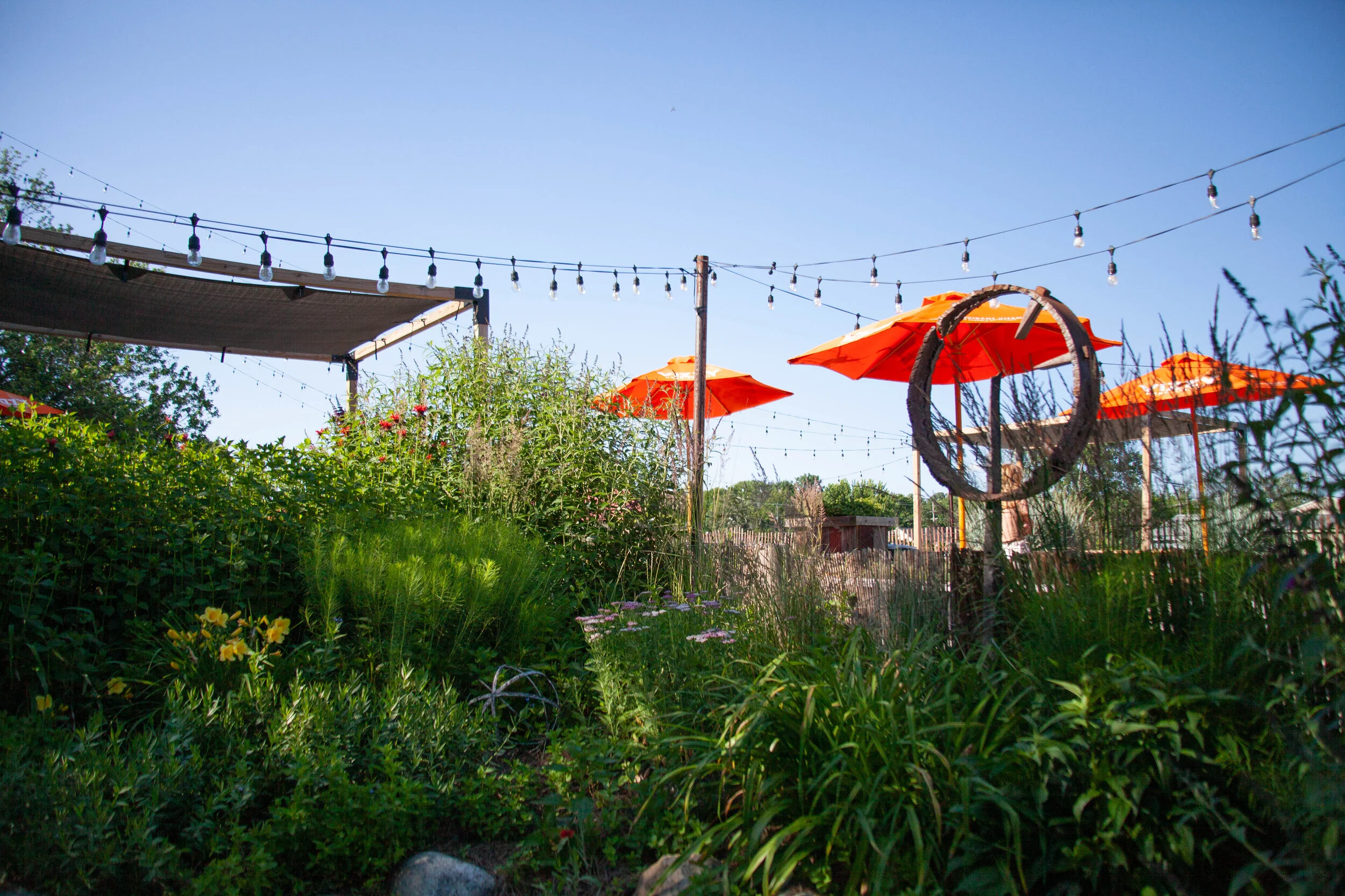 Square Roots Community Initiative — Square Roots Collective