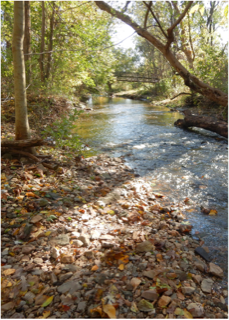 Square Roots Collective