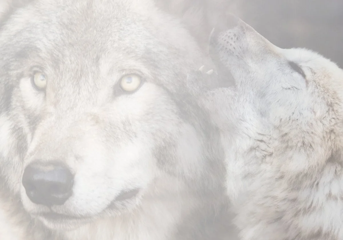 Recover the Sacred Sound of Your Soul | Soul Language Course — MAMA ...