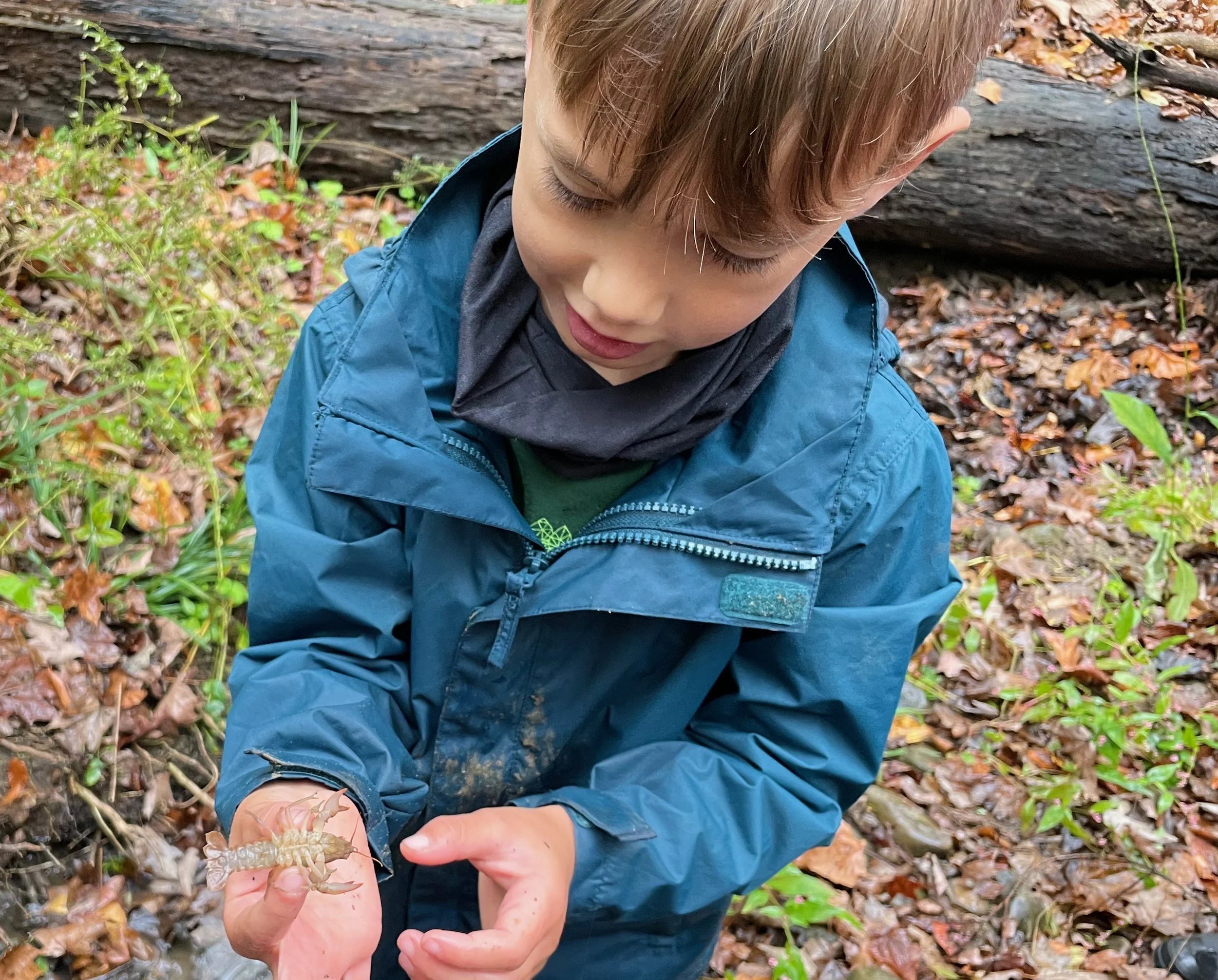 The Natural Classroom