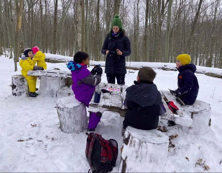 The Natural Classroom - Forest School