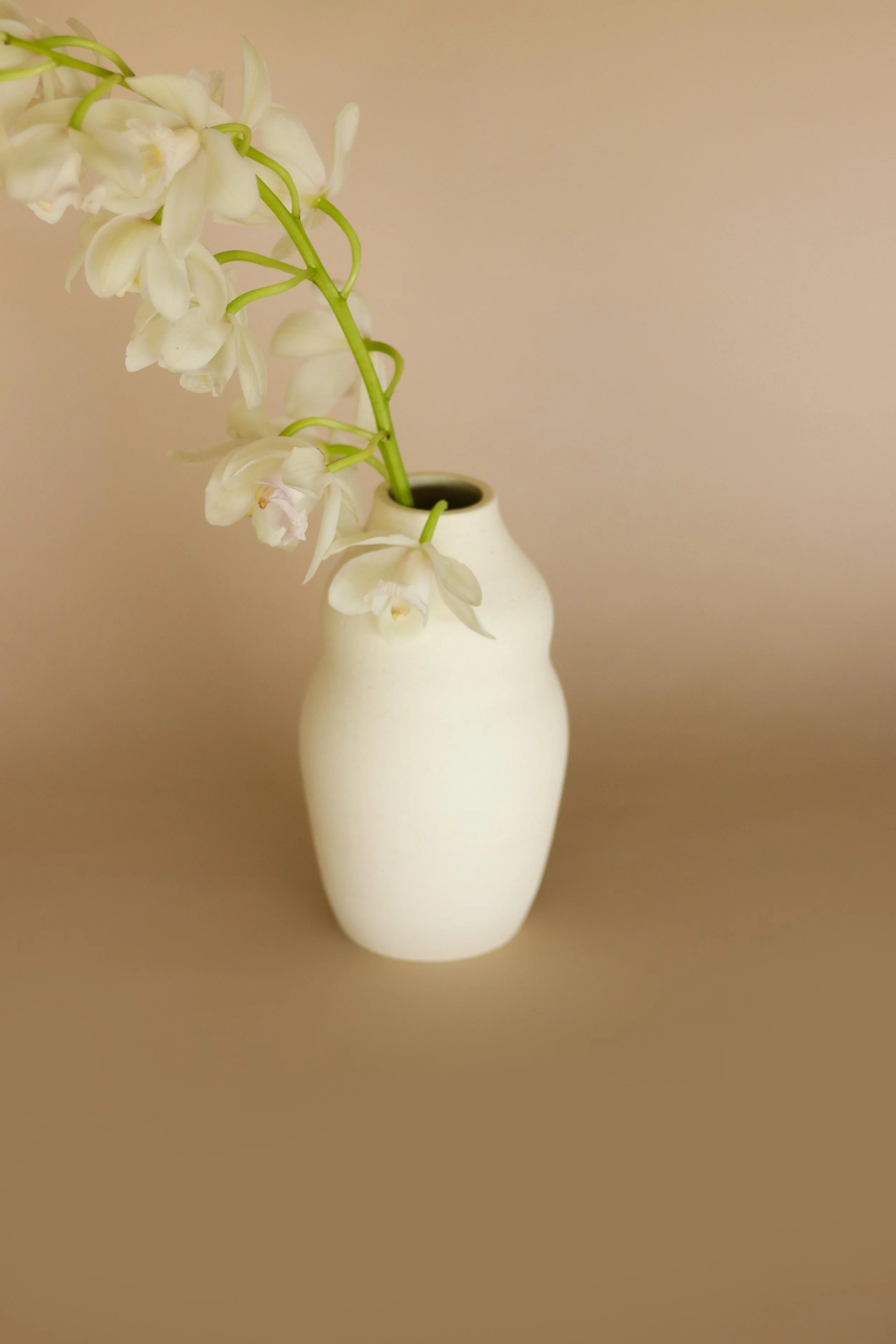 Shop — Goodwin Ceramics
