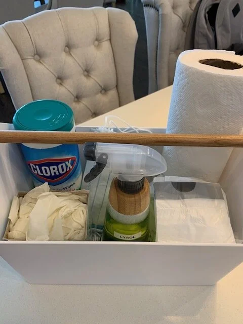 MUST HAVE Sanitizing Car Kit Essentials — Listening Tree Healing Studio