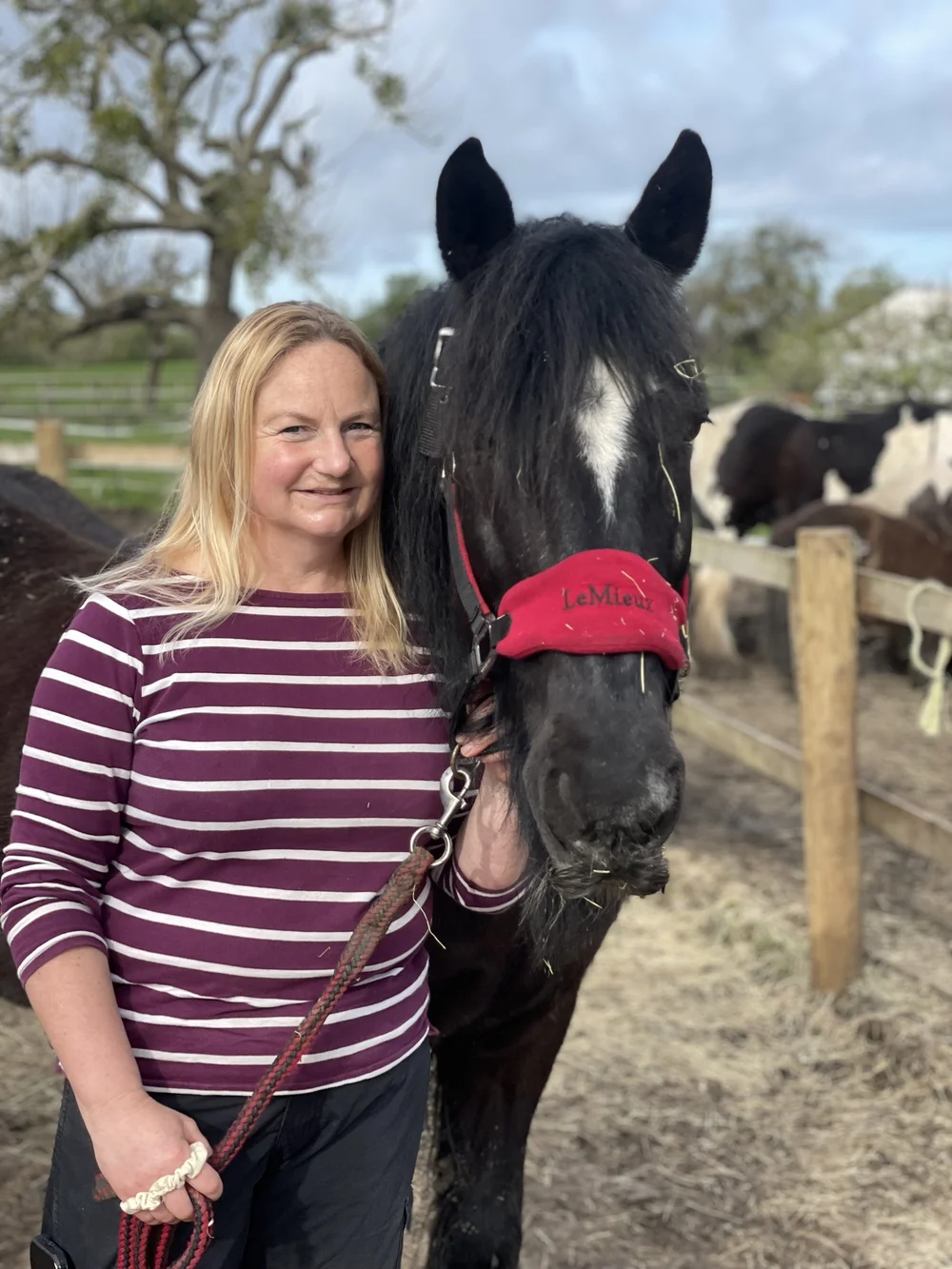 Meet the Team | Join Our Healing Team — The Heard Therapy CIC