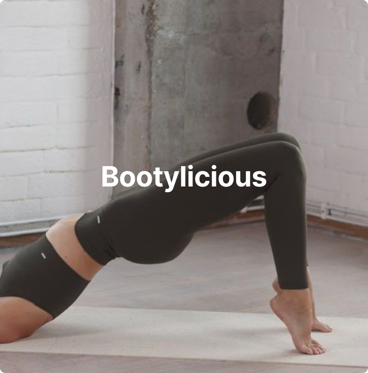 Four New Programs Perfectly Aligned with Your Needs