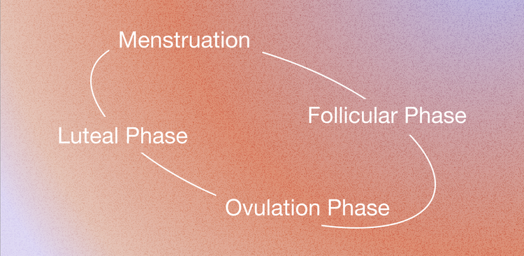 Cycle Sync Workouts: Luteal & Follicular Phases | WITHSARA