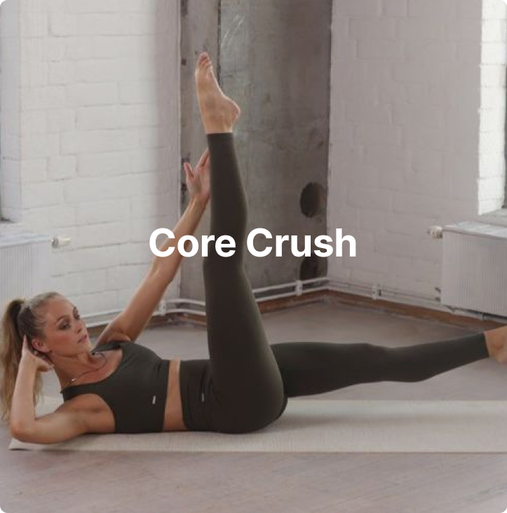 Four New Programs Perfectly Aligned with Your Needs