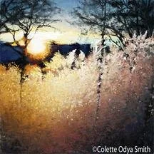 News & Events — Colette Odya Smith