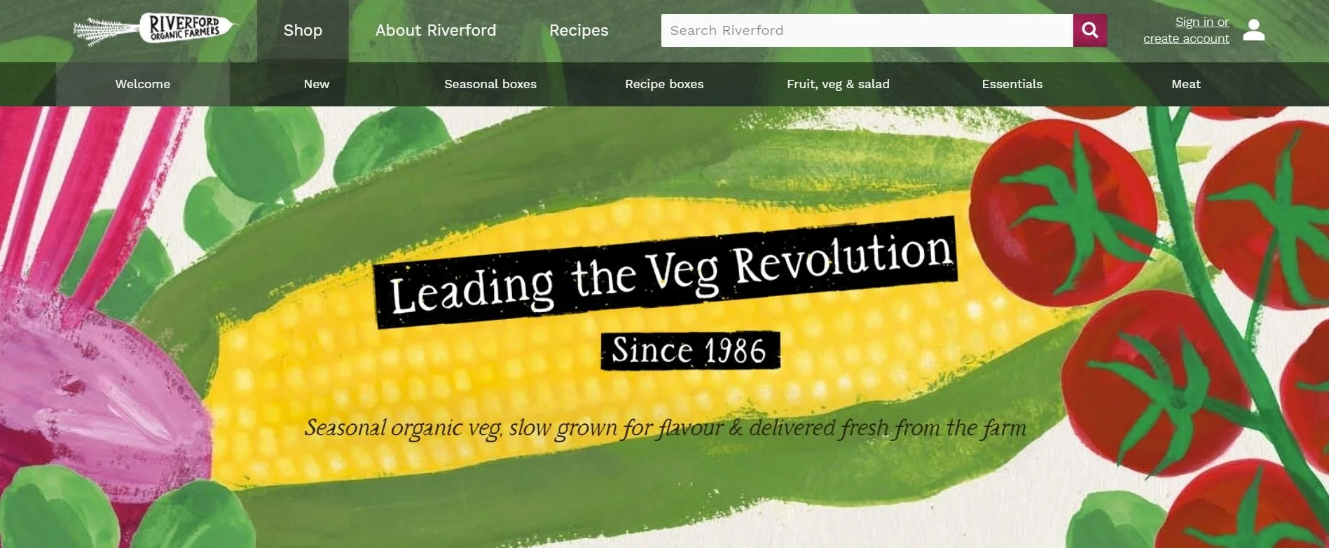 Why you need to hire me as a Freelance Creative — Jess Knights