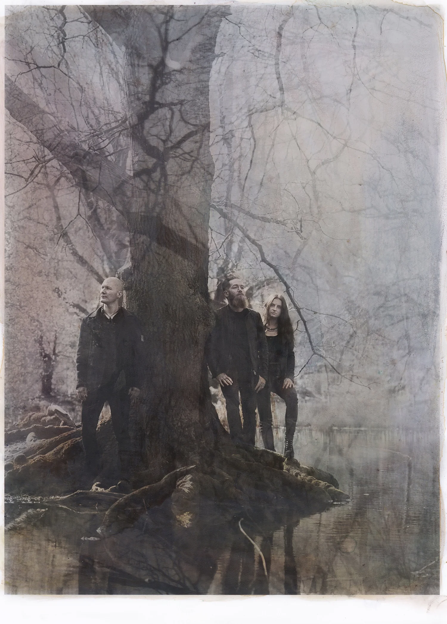 Band — Cellar Darling