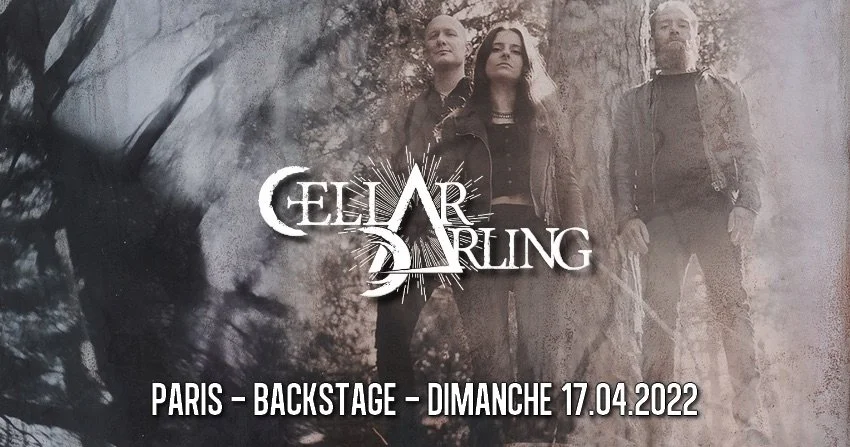 Blog — Cellar Darling