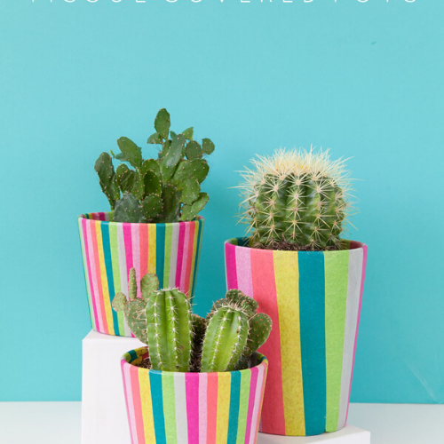 Tissue Paper Covered Pots — Munchkin Fun At Home
