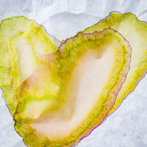 Leaf Color Science Experiment — Munchkin Fun At Home