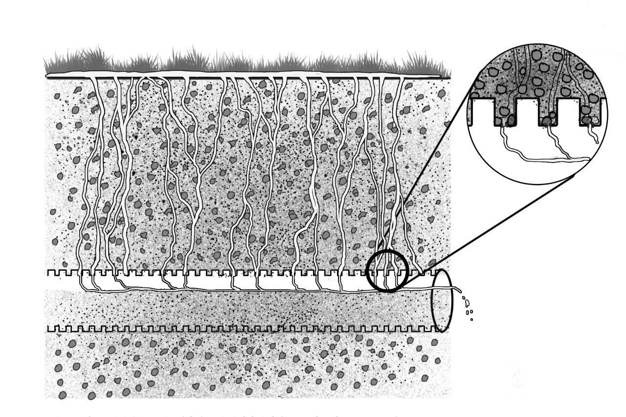 Carriff: Drainage Filter Sock