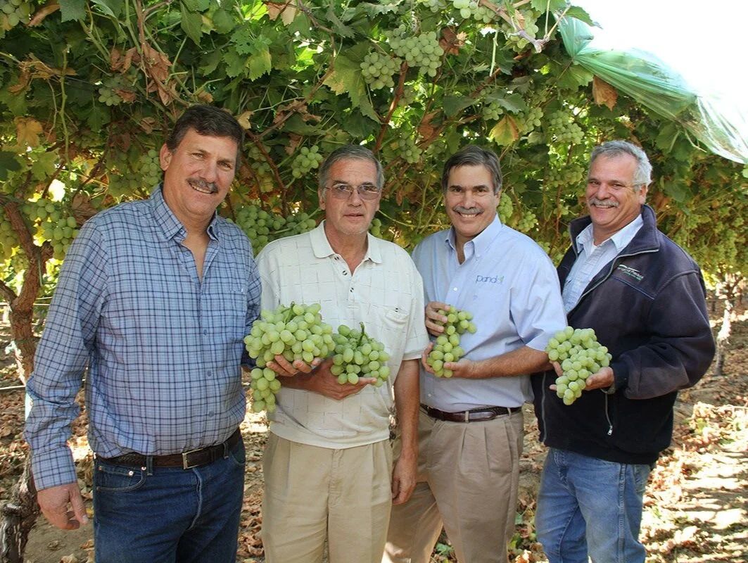 About Pandol Brothers — Pandol