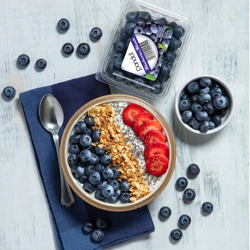 Pandol Blueberries — Pandol