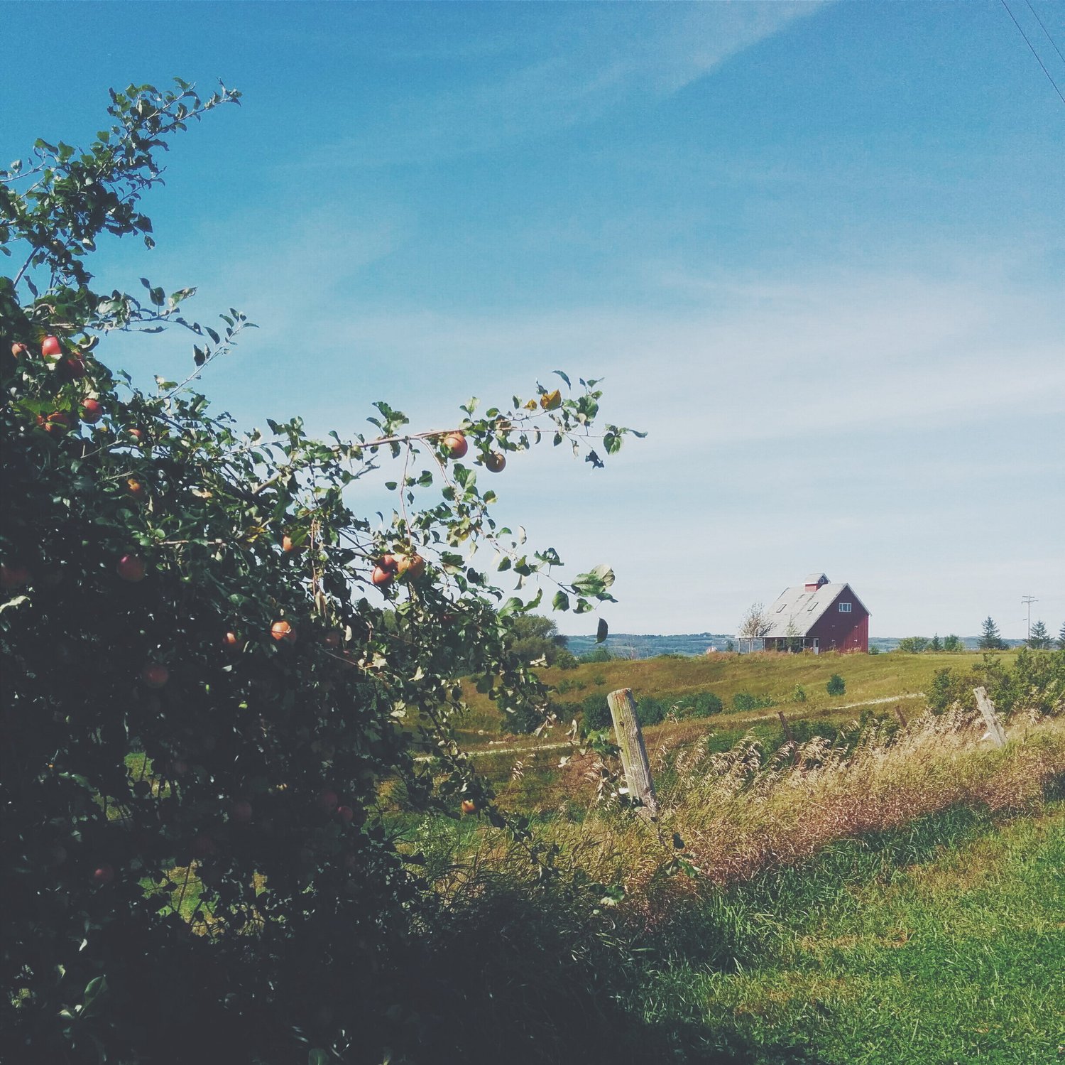 Great Taste of Ontario — Culinary Tourism Alliance