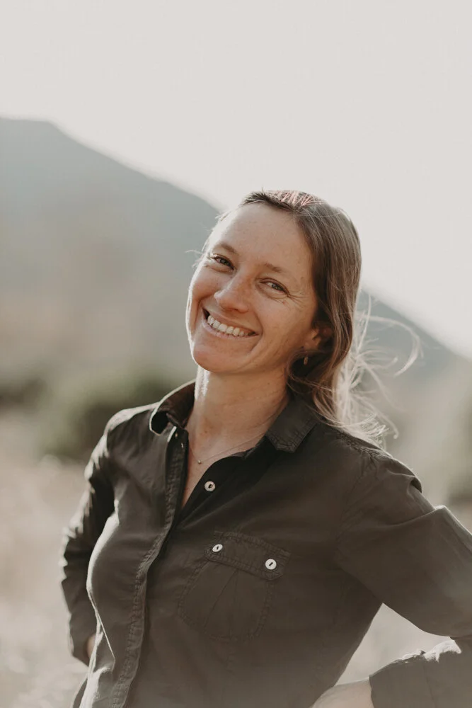 Teachers — move sanctuary