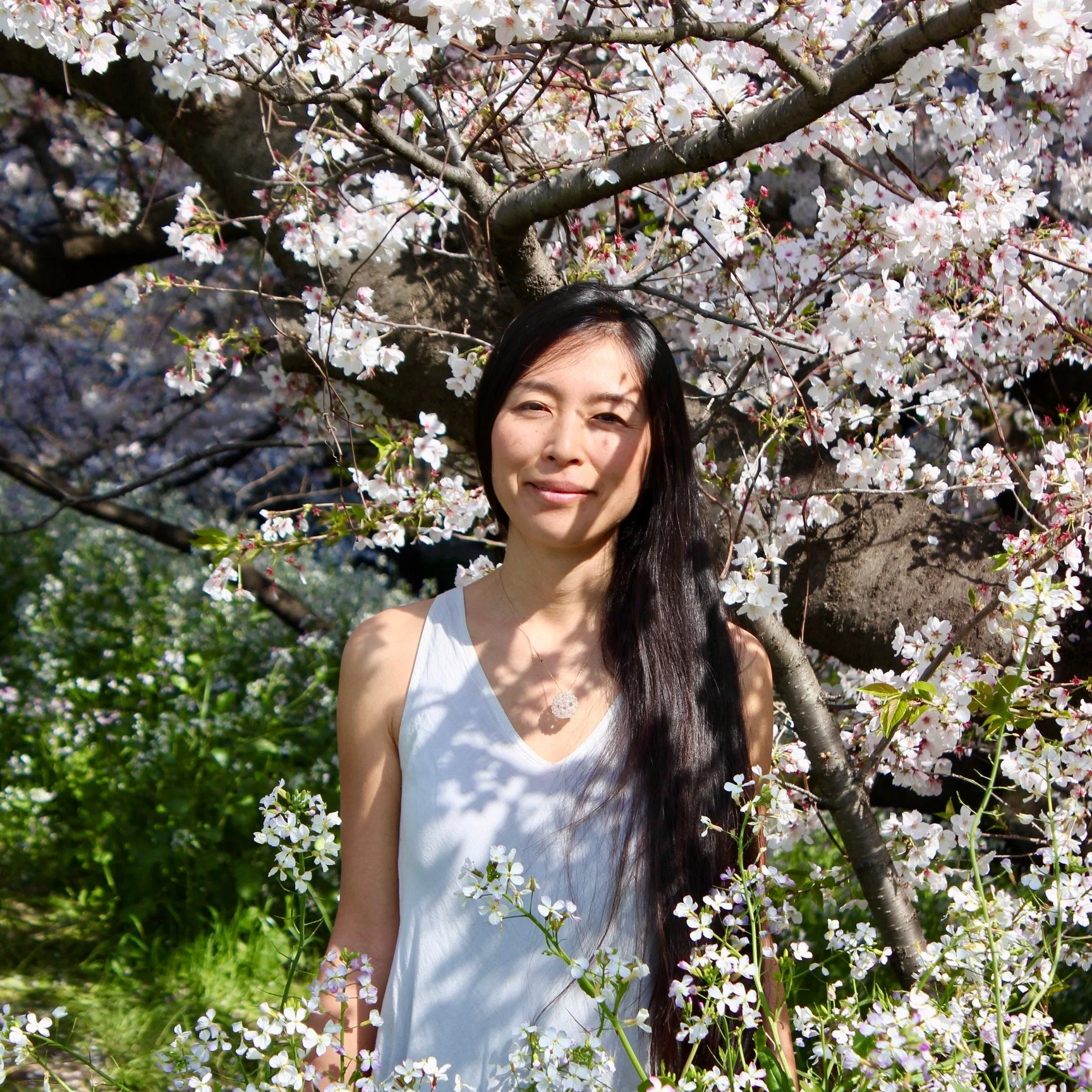 Seshen — move sanctuary