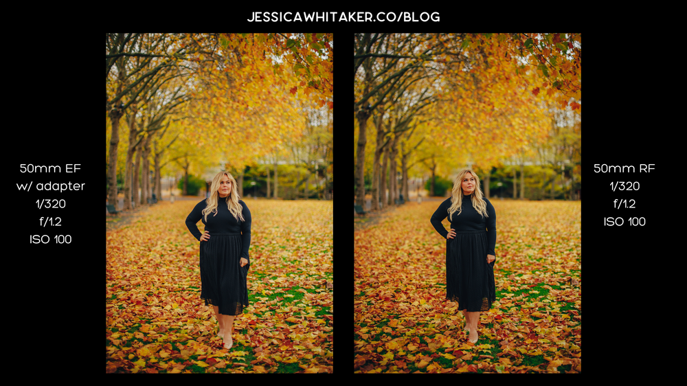 Canon's RF vs. EF Lenses: The Ultimate Guide to Choosing the Right Lens ...