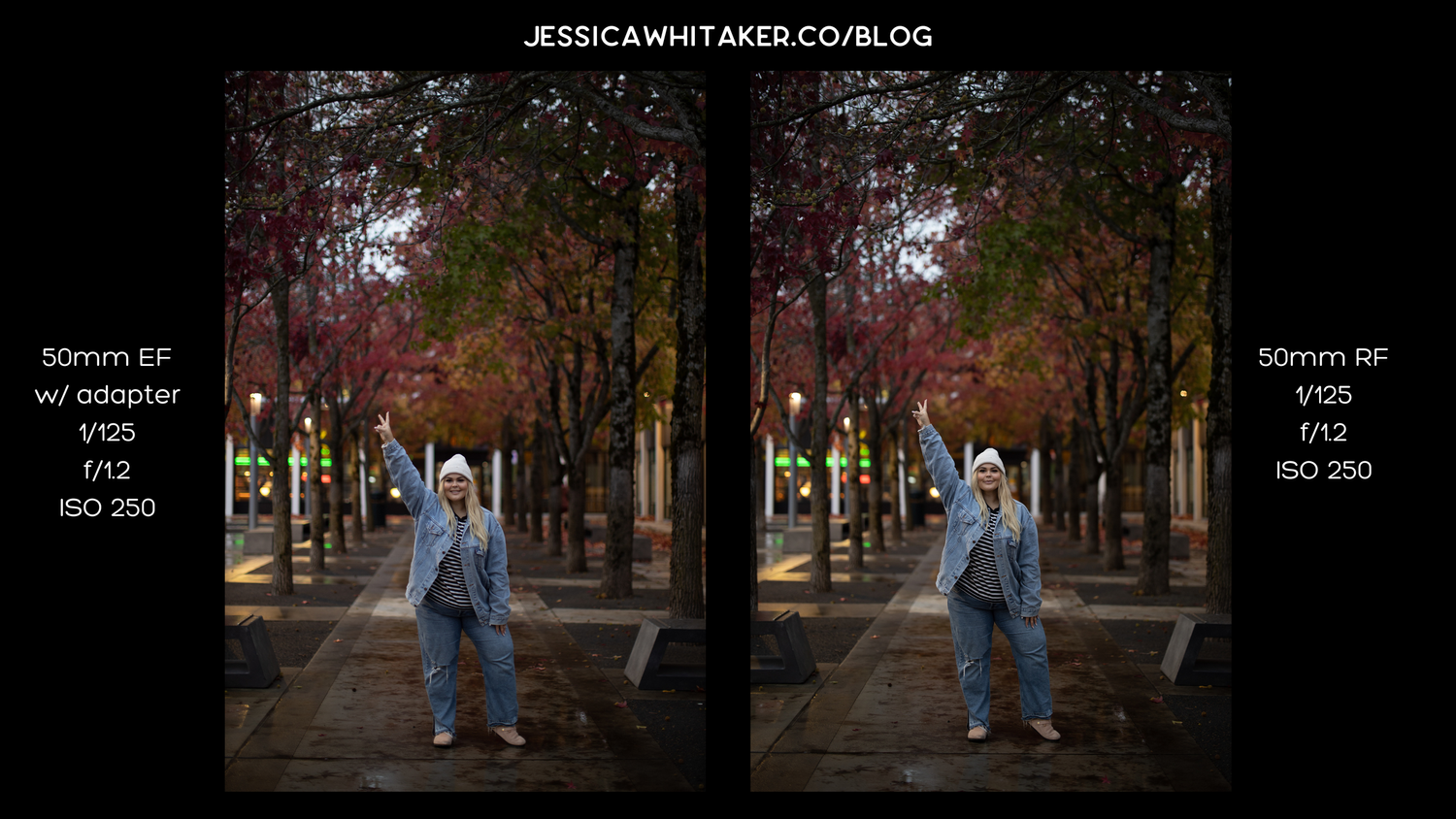 Canon's RF vs. EF Lenses: The Ultimate Guide to Choosing the Right Lens ...