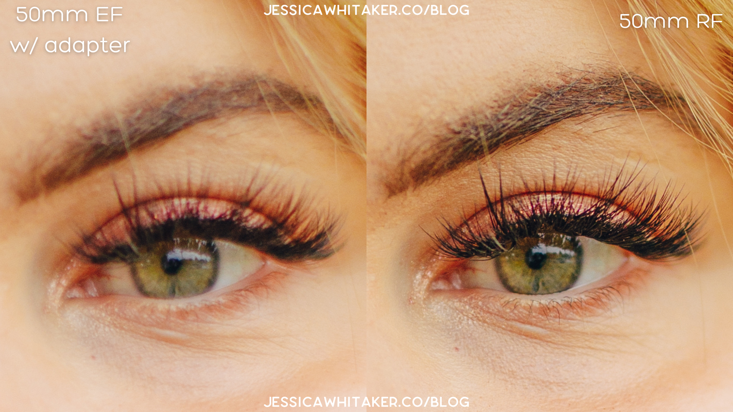 Canon's RF vs. EF Lenses: The Ultimate Guide to Choosing the Right Lens ...