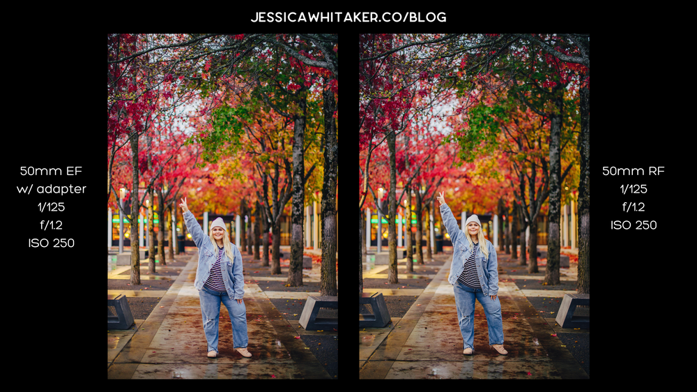 Canon's RF vs. EF Lenses: The Ultimate Guide to Choosing the Right Lens ...