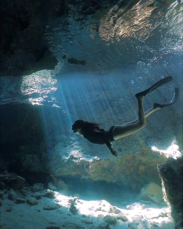 Bahamas Dive Guides | The Best Freediving, Spearfishing & Scuba Diving ...