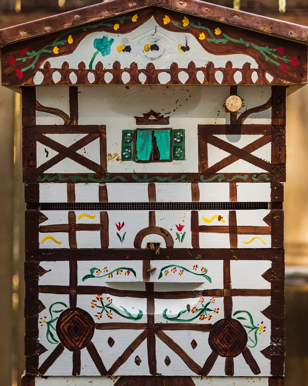 About the Apiary — Iron Bee Apiary