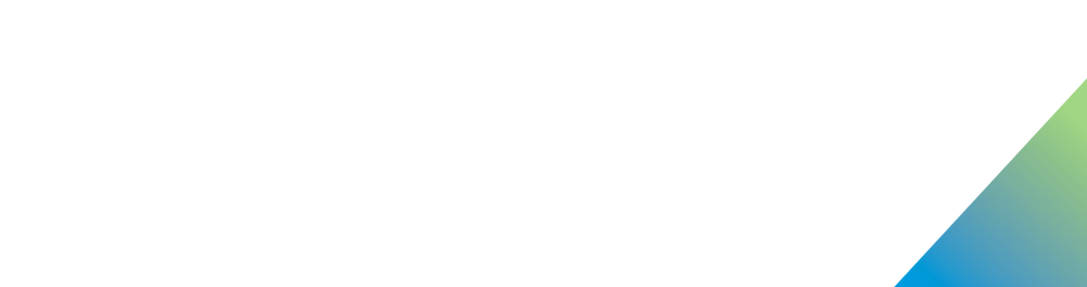 10 Small Business Red Flags that Could Trigger an IRS Audit — DeLeon ...