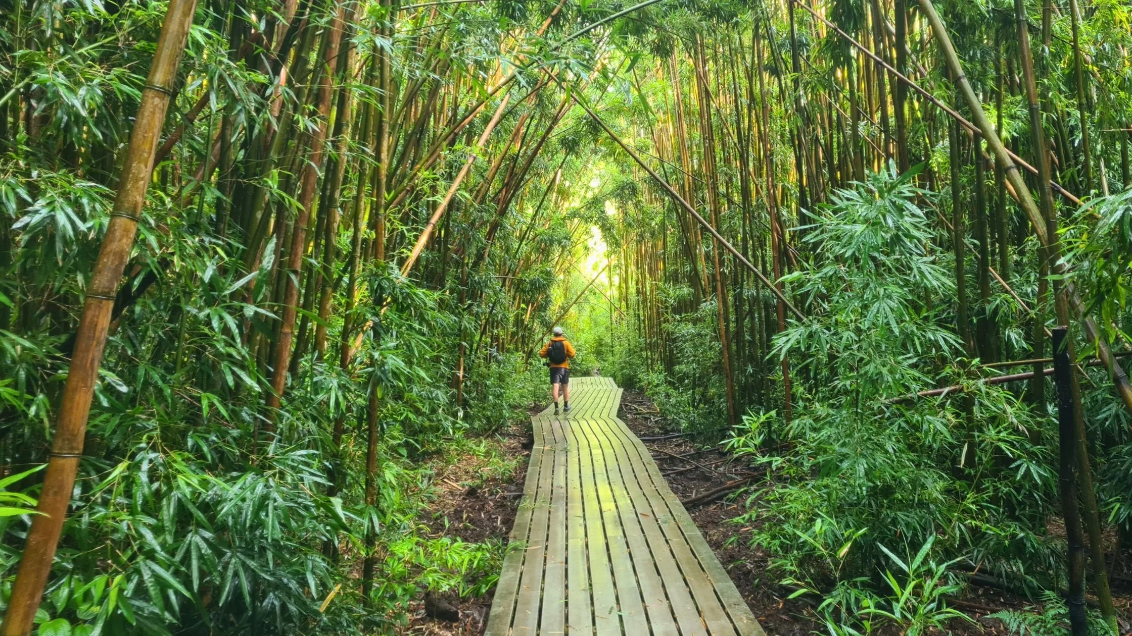 What is burnout and how do you know you're experiencing it? | Clarissa ...