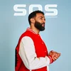 CRAIG DAVID KICKS OFF 2025 WITH NEW SINGLE "SOS" - OUT NOW! — TT PUBLICITY