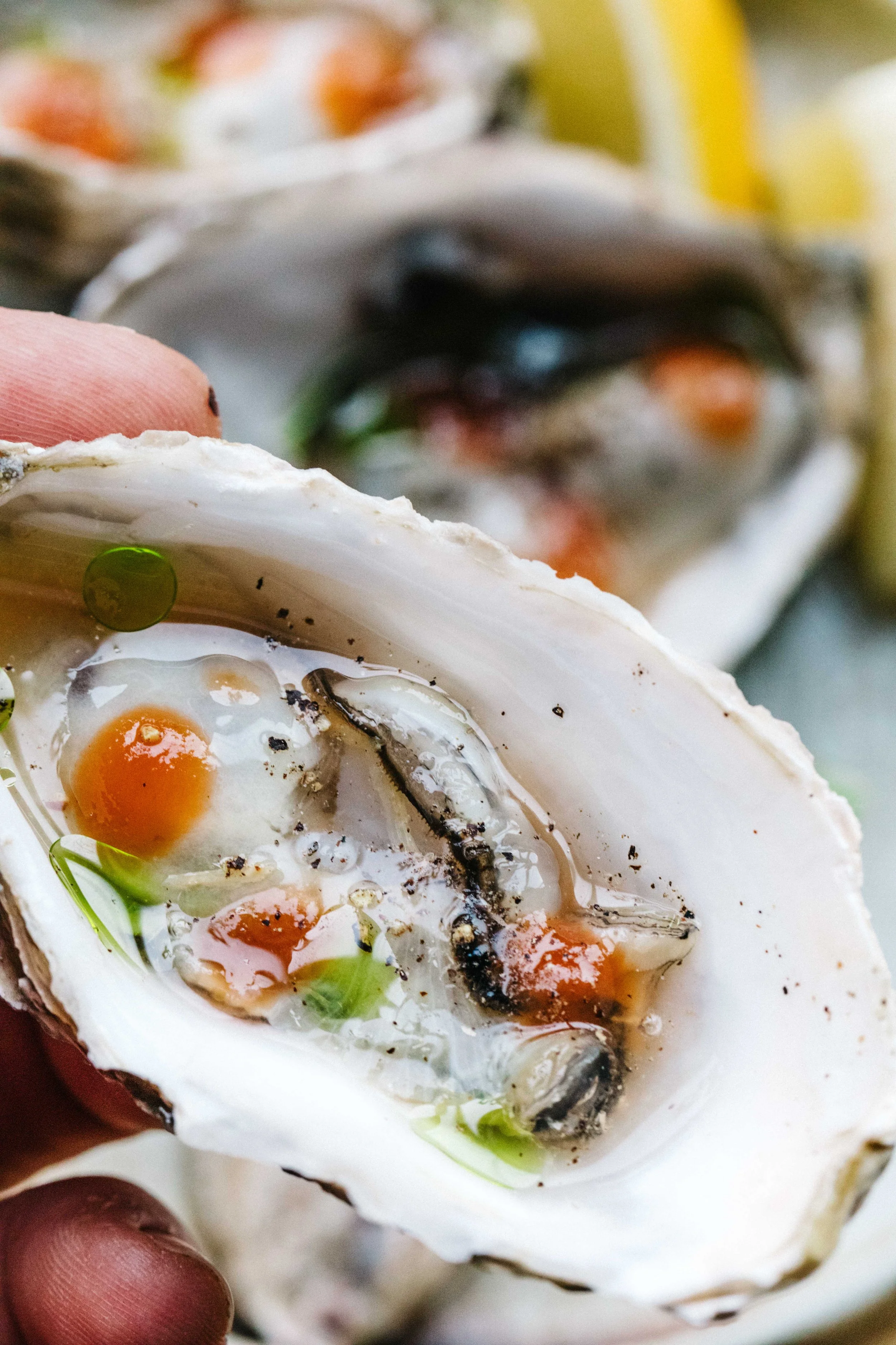 Gallery — Poco Tapas Bar