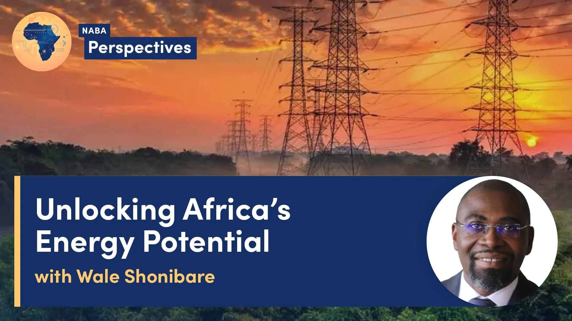 NABA - Norwegian-African Business Association