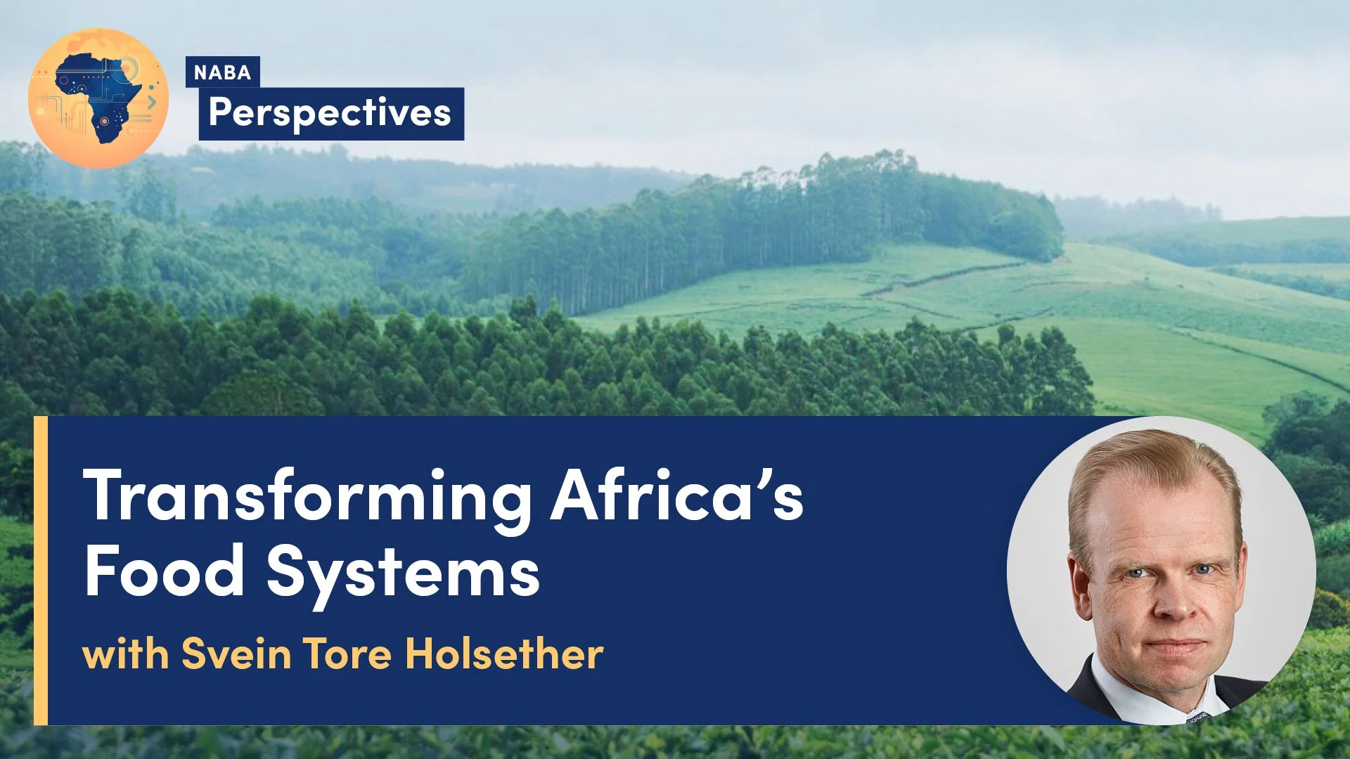 NABA - Norwegian-African Business Association