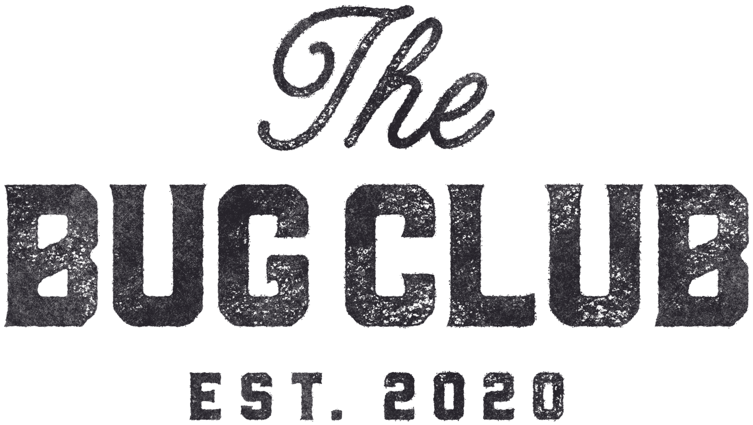 Framed Insects & Fossils For Sale | The Bug Club