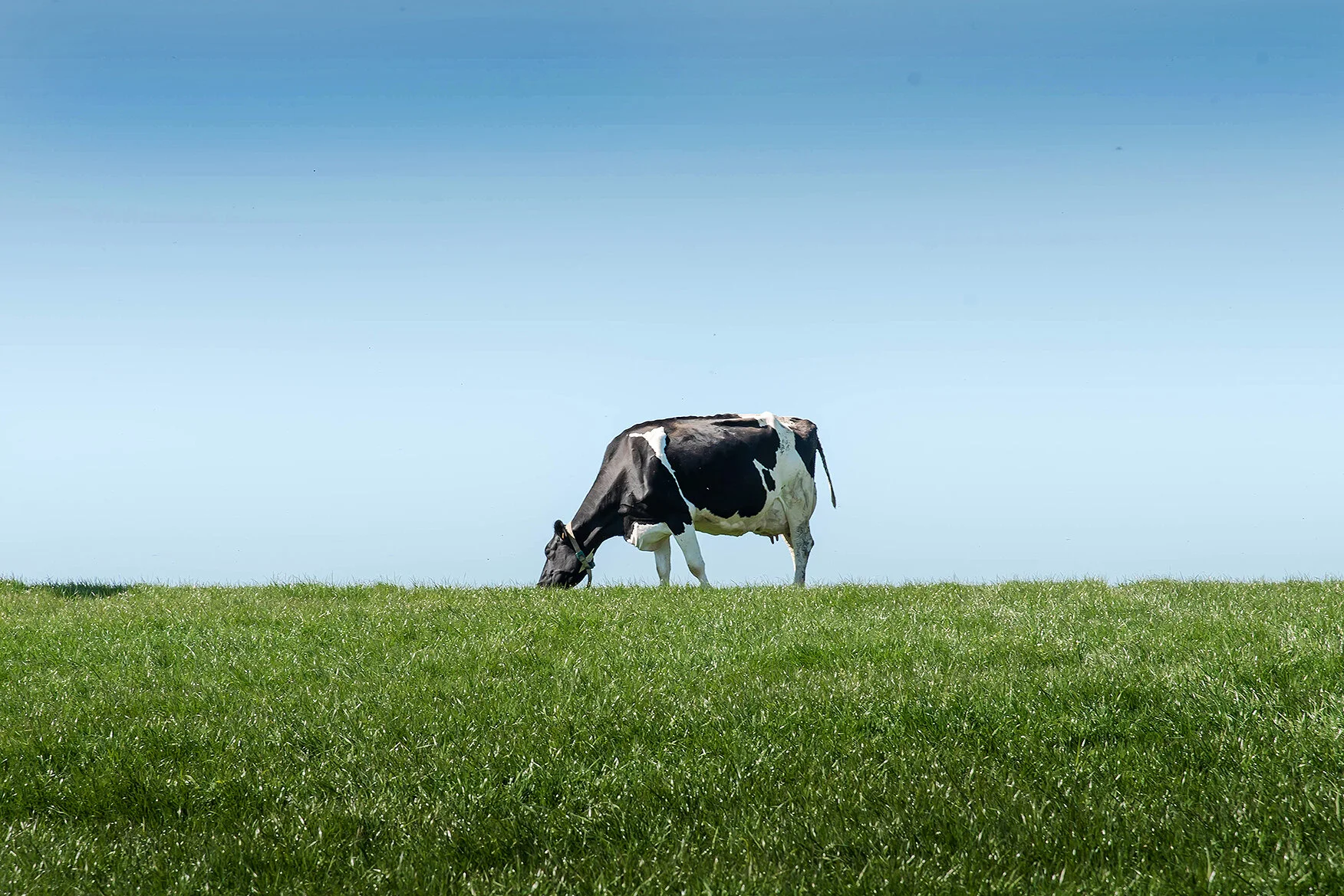 About us — Moovin Milk