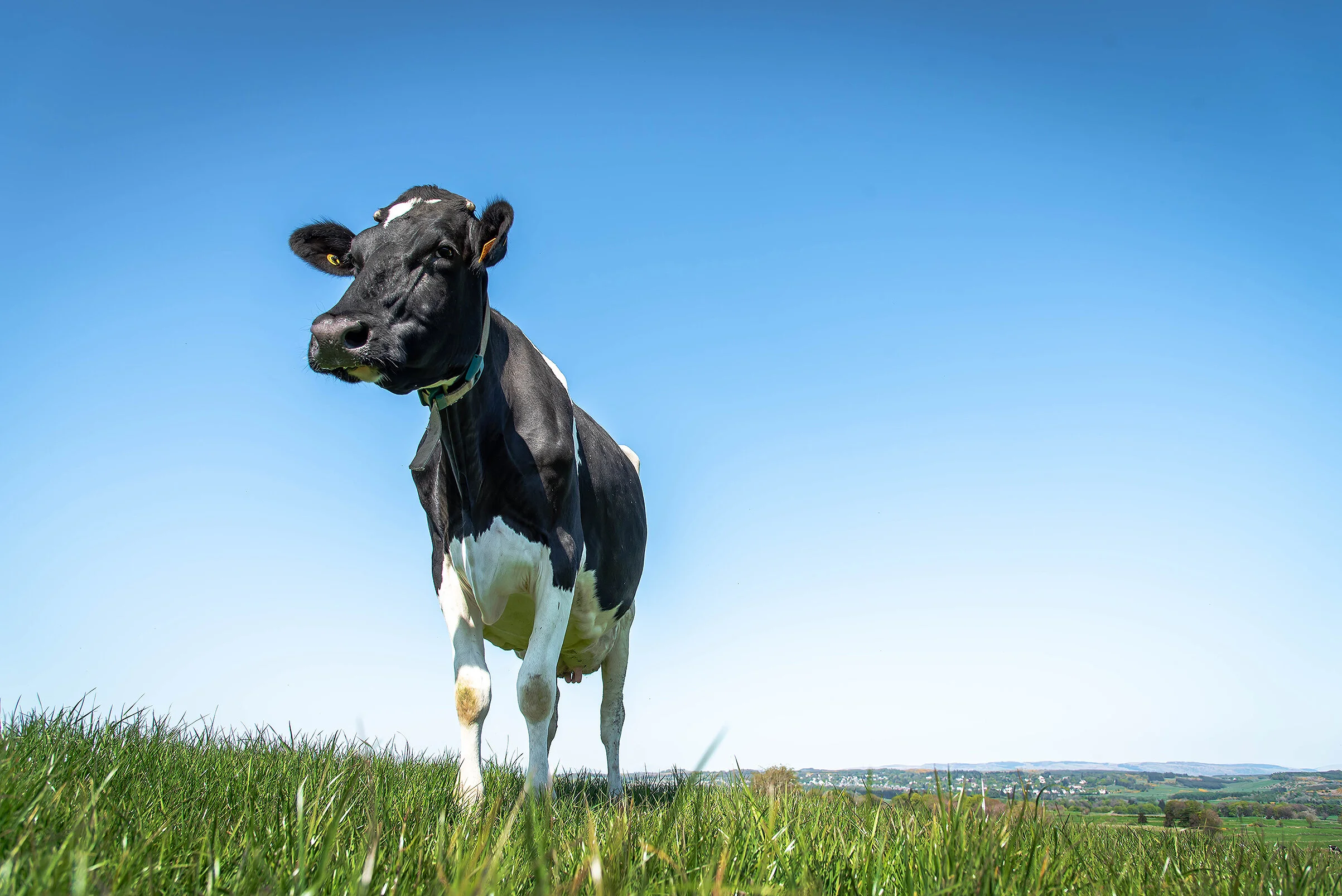 About us — Moovin Milk