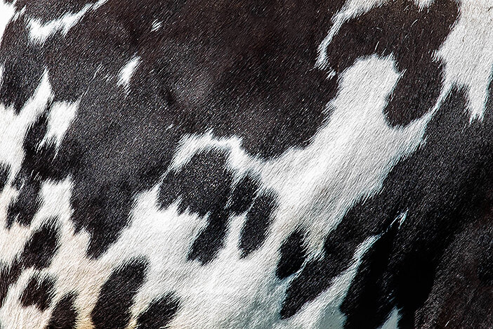About us — Moovin Milk