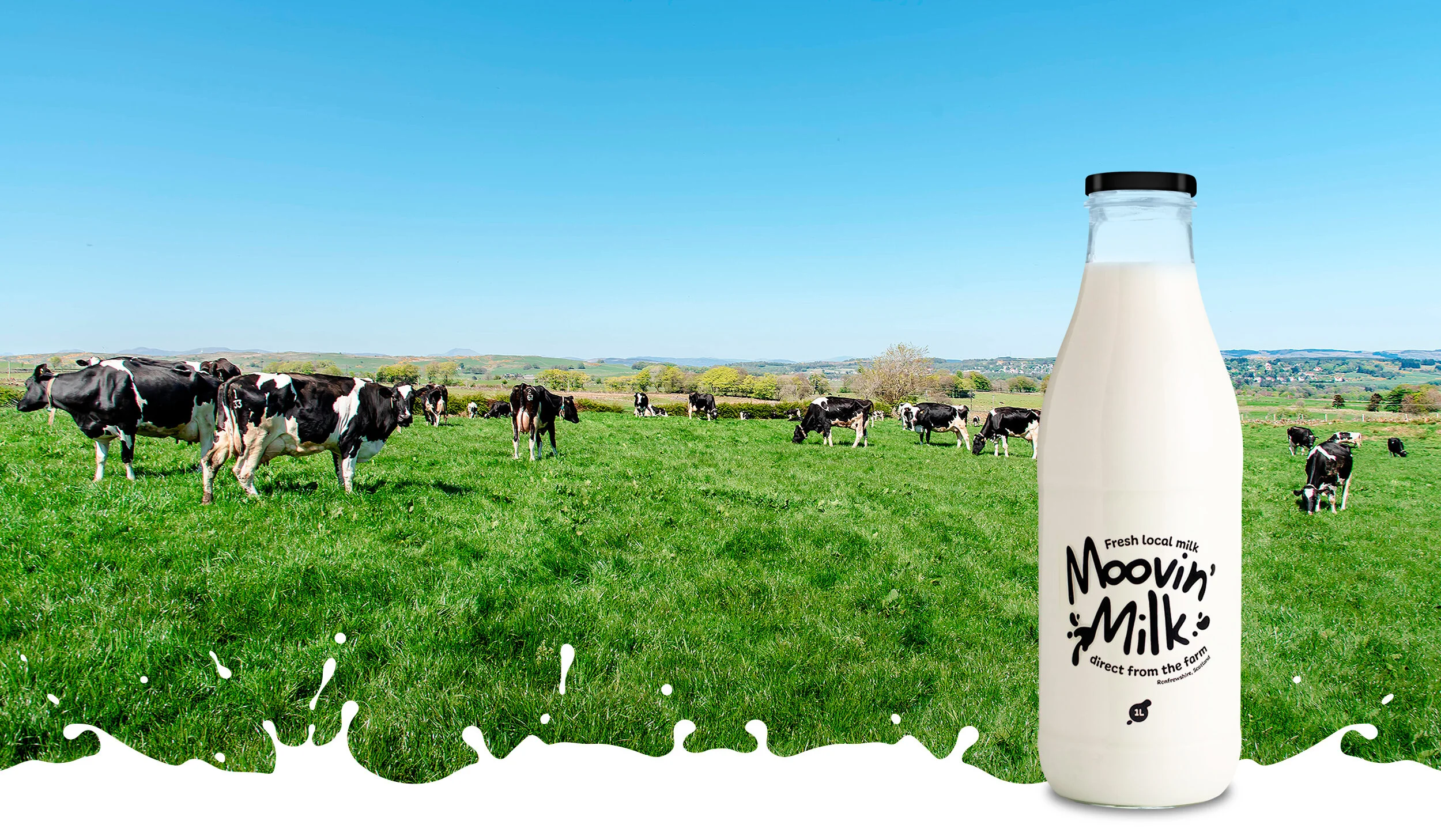 Moovin' Milk - Fresh Farm milk delivered daily