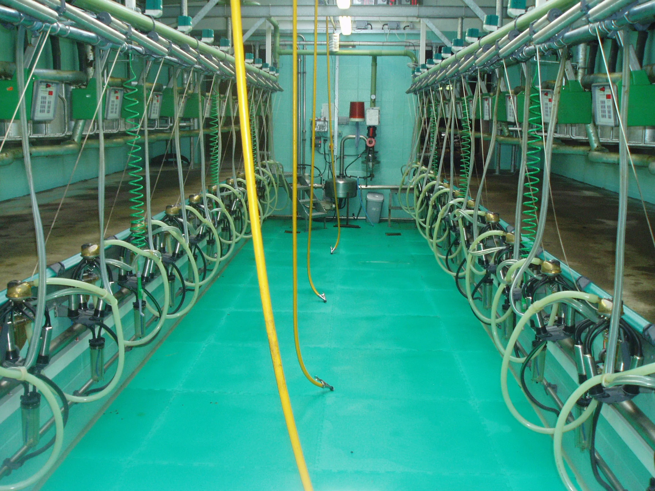 Process to our milk making — Moovin Milk
