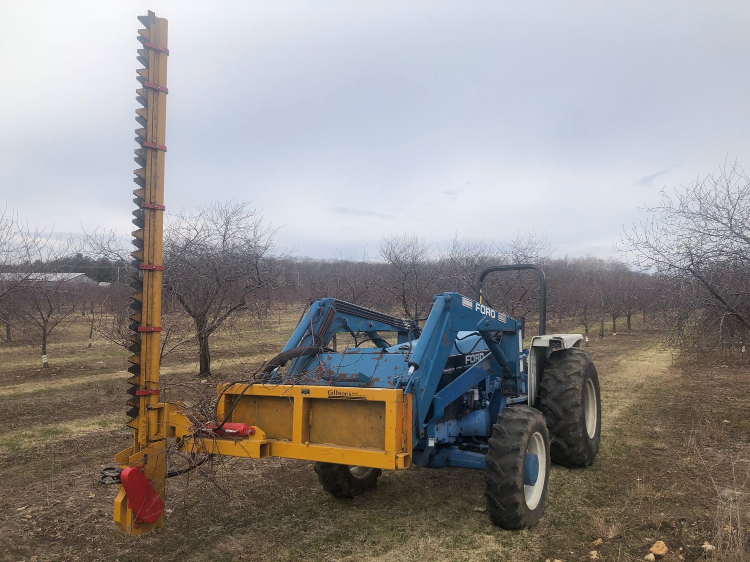 Photo Gallery | Explore Our Farm Moments Today — Hyline Orchard Farm ...