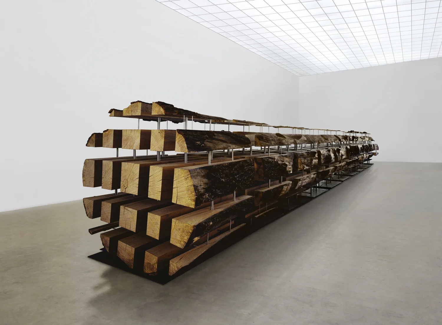 Michael Joo — Art At A Time Like This