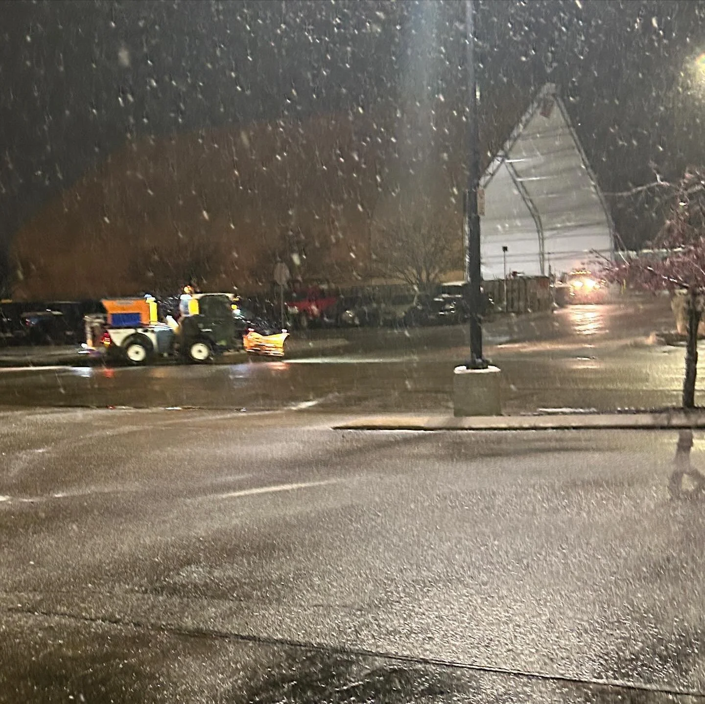 Alexis Pickering for ACHD