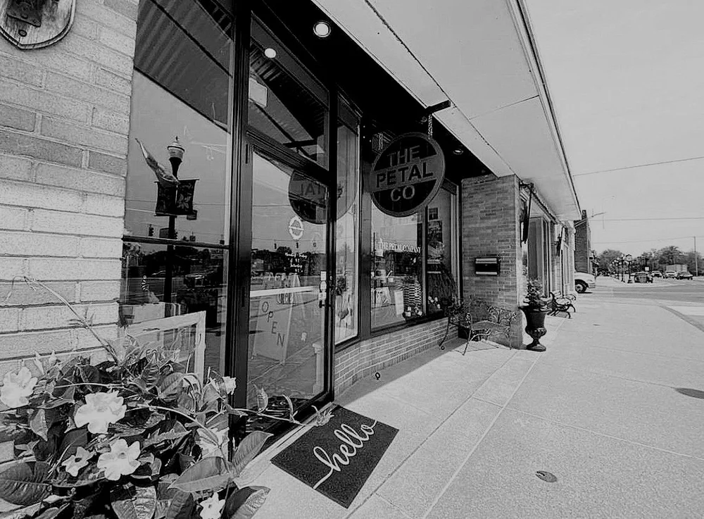 About — The Petal Co.