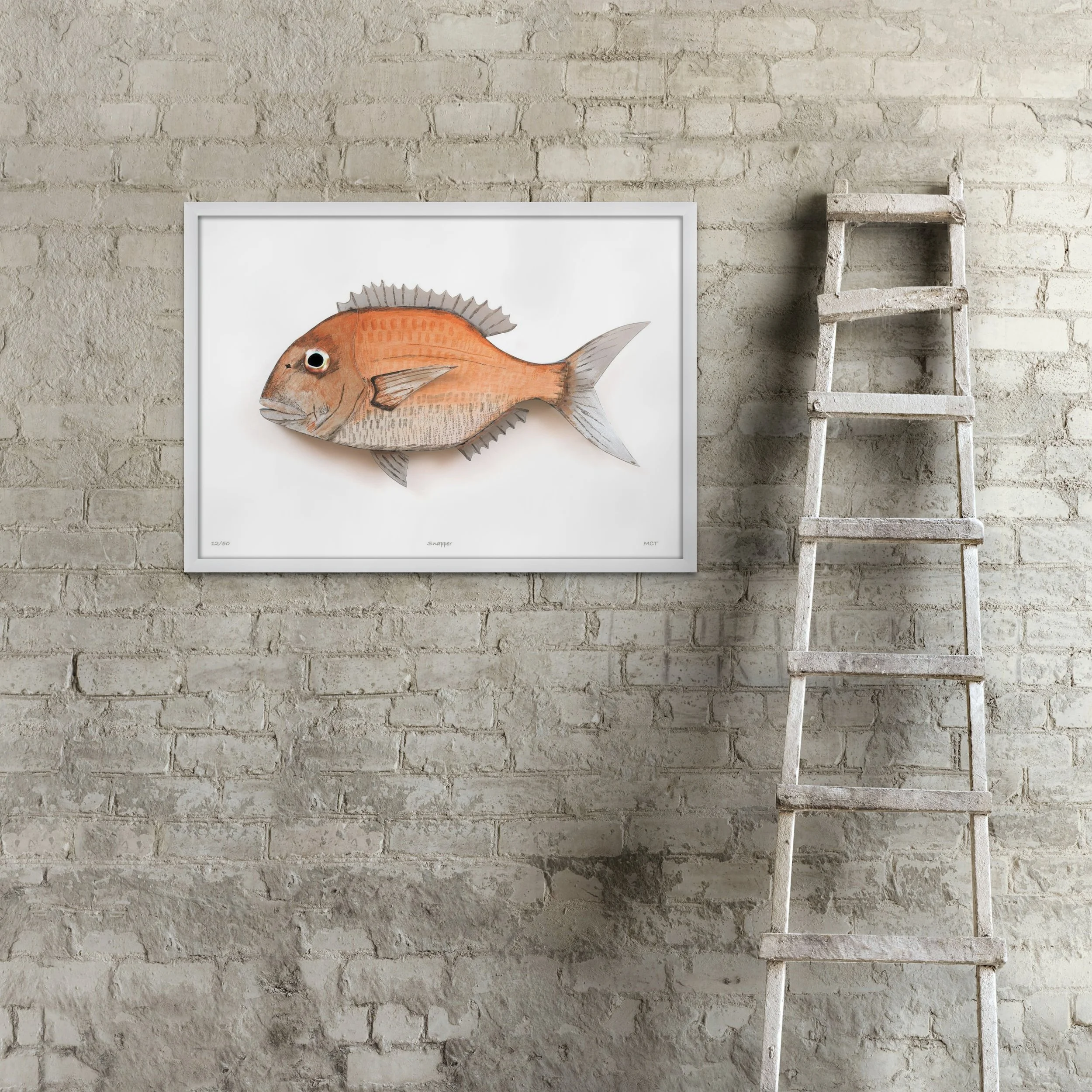 Snapper Print — MAC-ART