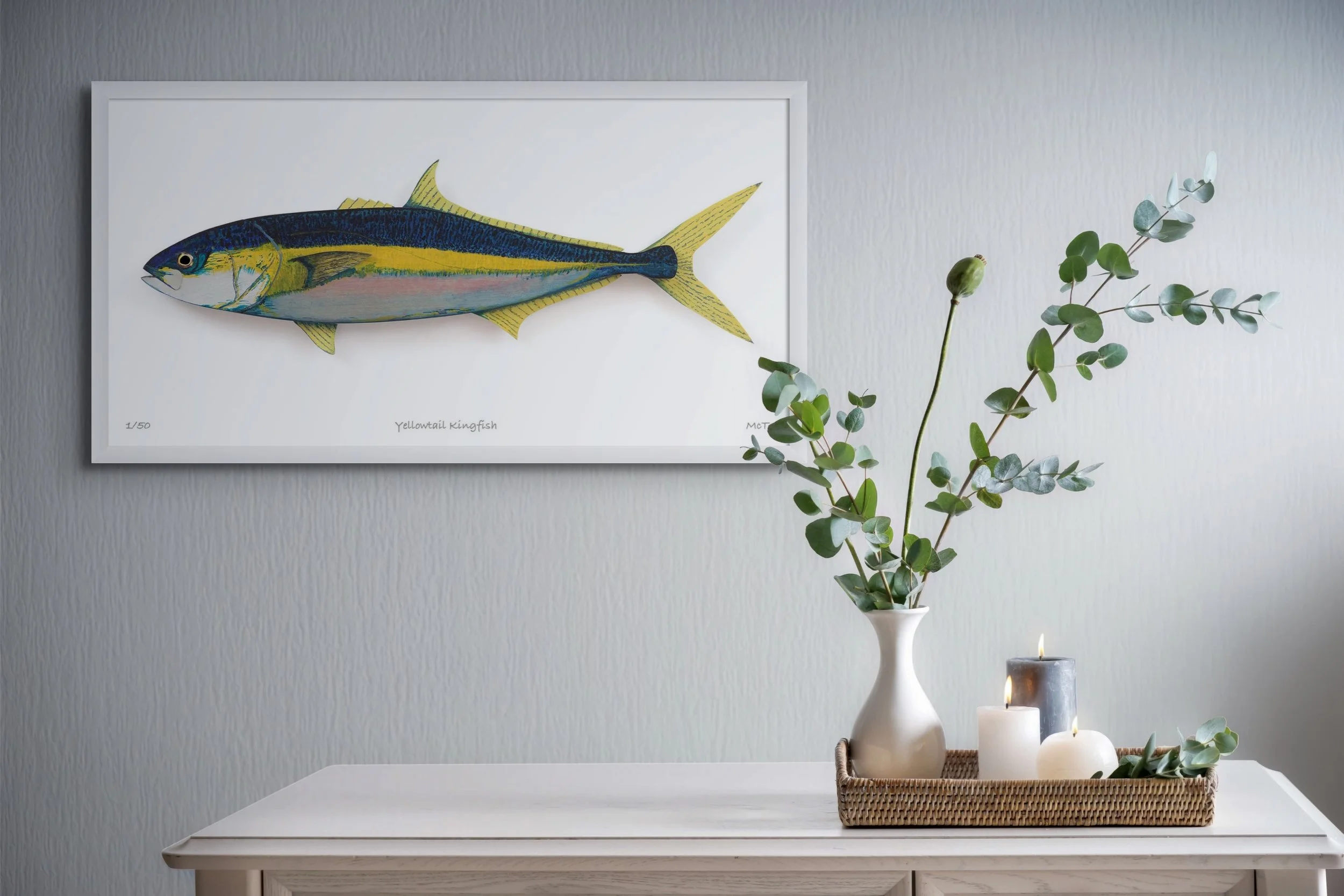 Yellowtail Kingfish — MAC-ART